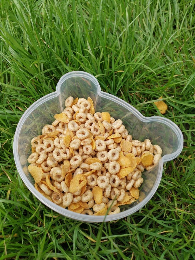 Vertical Shot of Cereals in a Plastic Container in the Shape of a Bear Head Put on the Grass ...