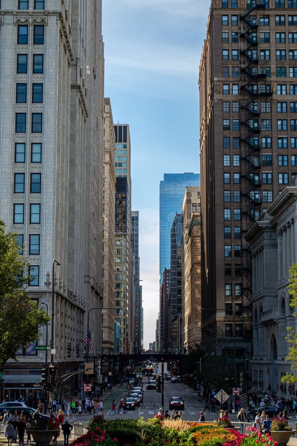 Vertical Shot of Chicago Street Visible from Millenium Park with Modern ...