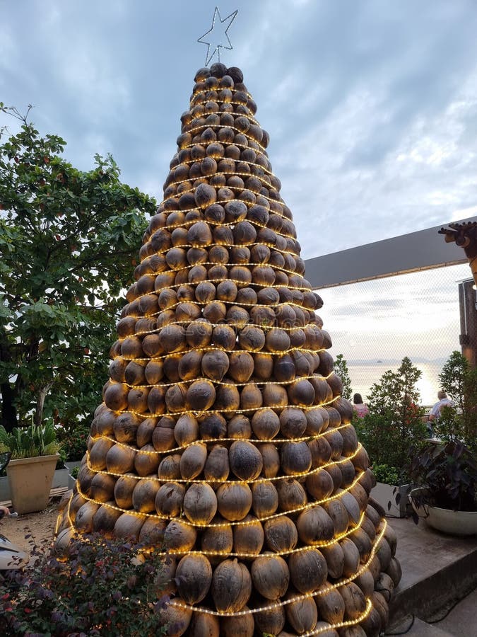 Vertical Shot of a Christmas Tree Made of Coconuts Stock Image - Image ...