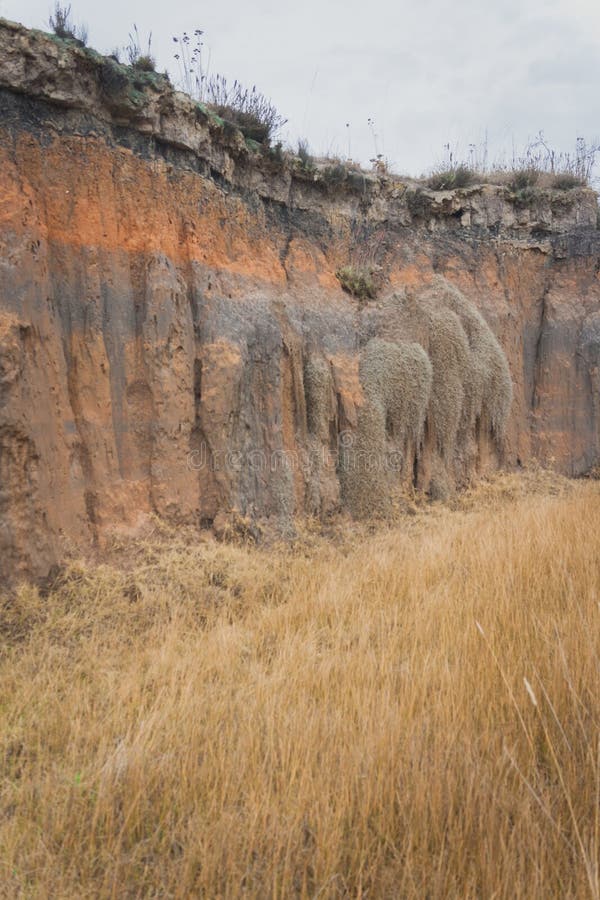 Vertical Shot of a Clay Cliff that Falls into Dry Brown Grass Stock ...