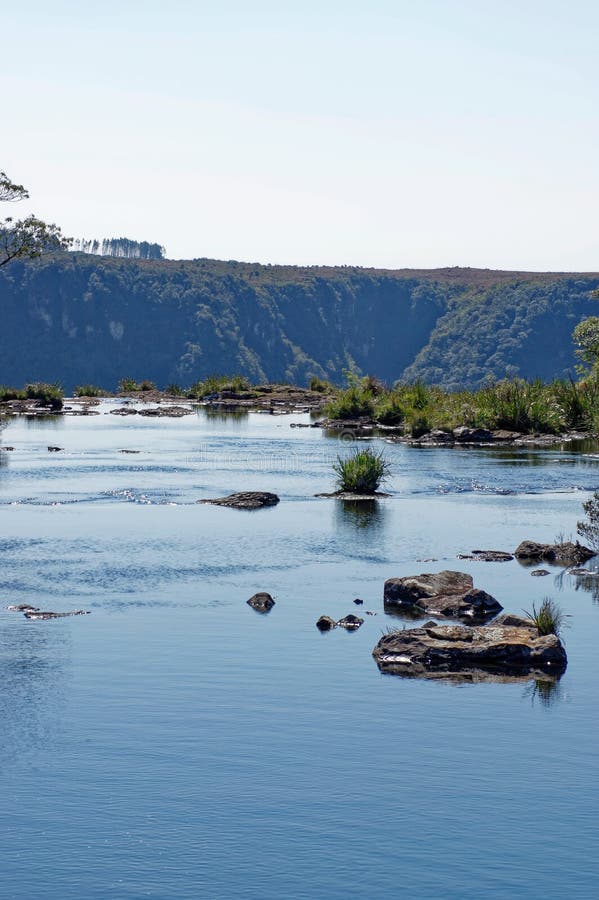 Vertical Shot of a Clear Blue River in the Mountains with Plants ...