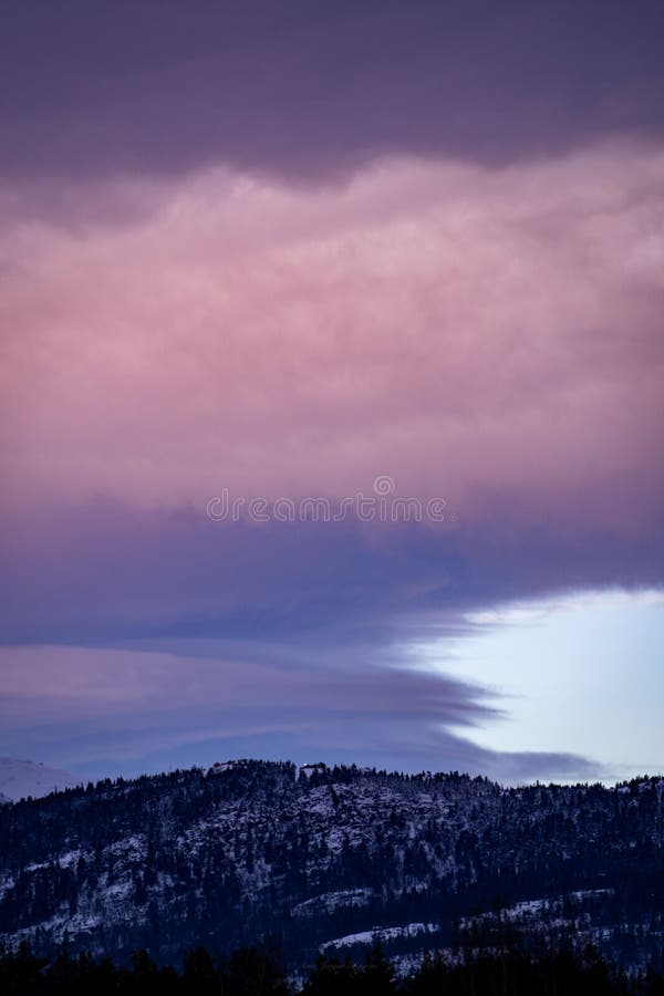 Vertical Shot of the Cloudy Purplish-pink Sky Above the Hills. Stock ...
