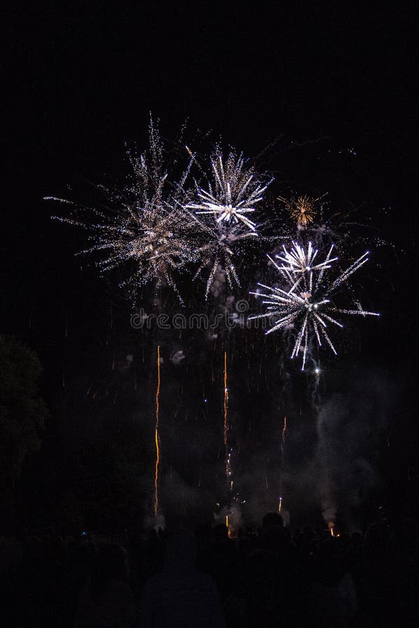 Vertical Shot of Colorful Exploding Fireworks in a Night Sky Stock ...
