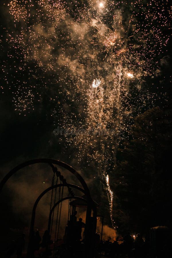 Vertical Shot of the Colorful Fireworks in the Night Sky Stock Photo ...