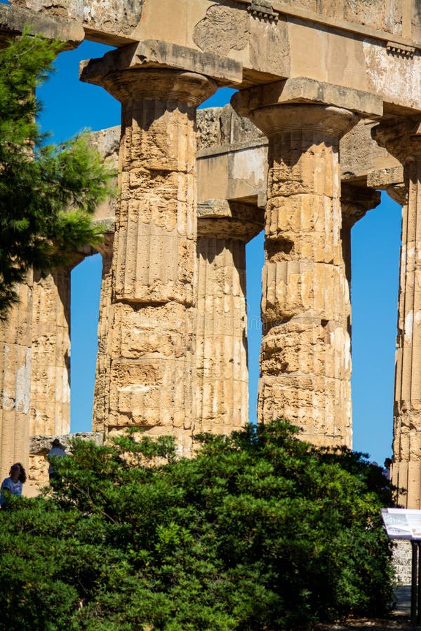 Vertical Shot of Columns of Temple E at Selinus in Sicily, Also Known ...