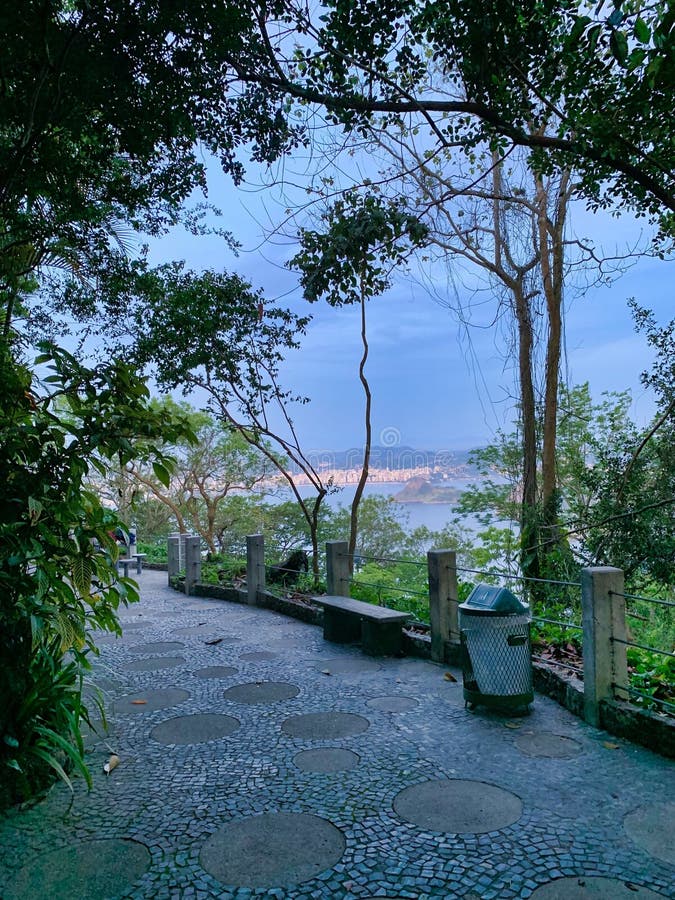 Vertical Shot of a Concrete Pathway with a Fence Surrounded by ...