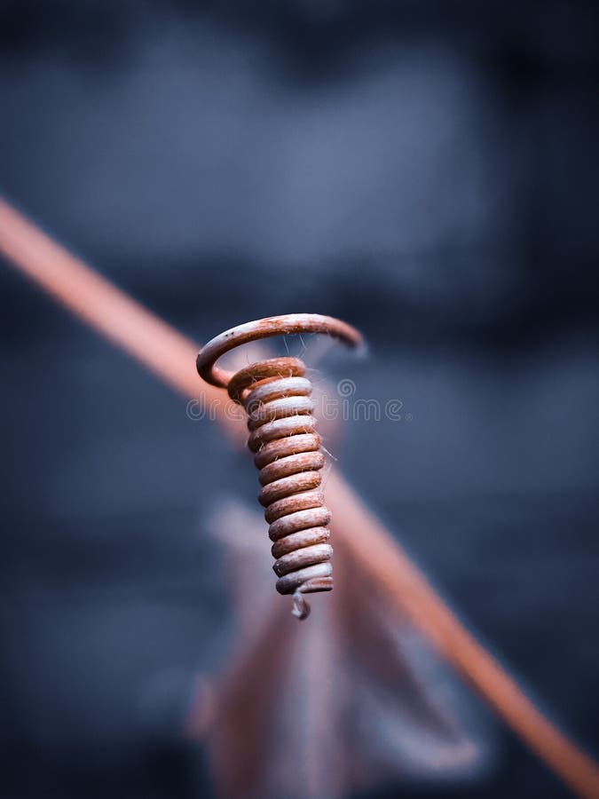 Vertical Shot of a Copper Spiral Wire with Cobweb Stock Image - Image ...