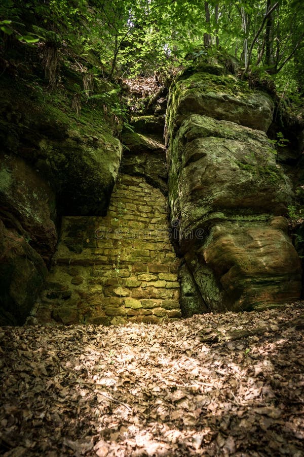 Vertical Shot of a Corner in the Forest with Mossy Rocks Stock Image ...