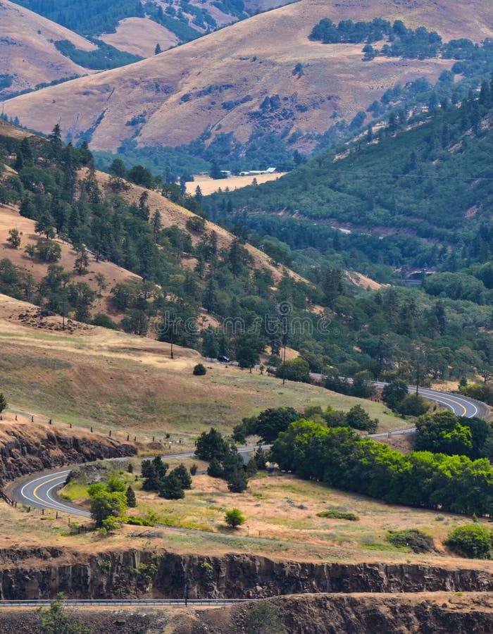 Vertical Shot of Countryside Road Surrounded by Trees Stock Photo ...