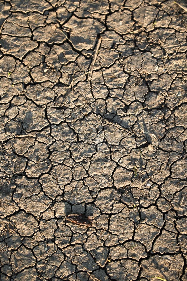 Vertical Shot of Cracked Ground, Cool for Texture Stock Image - Image ...