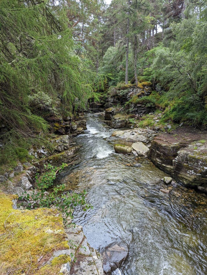 Vertical Shot of a Creek with Mossy Rocks and Trees on the Sides. Stock ...