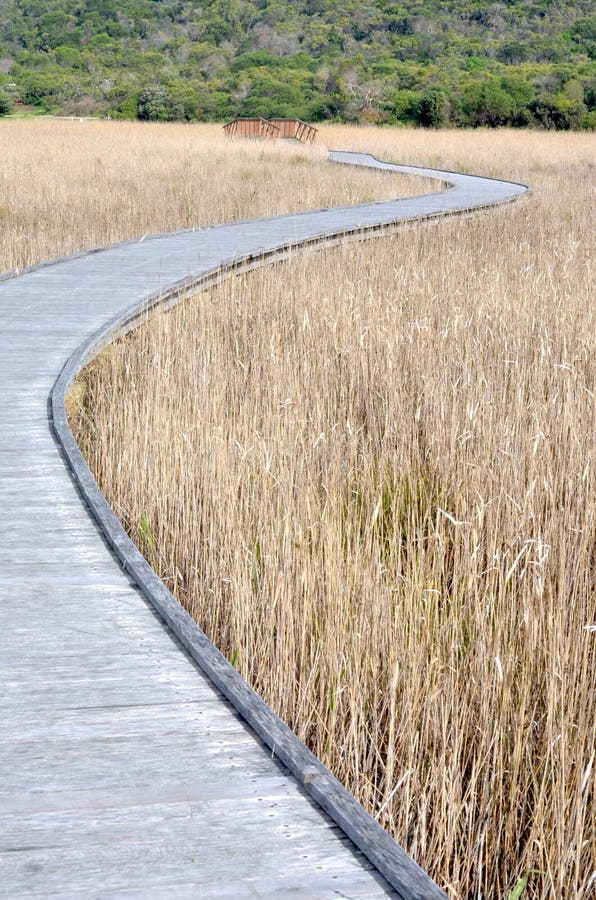 649 Curvy Pathway Stock Photos - Free & Royalty-Free Stock Photos from ...