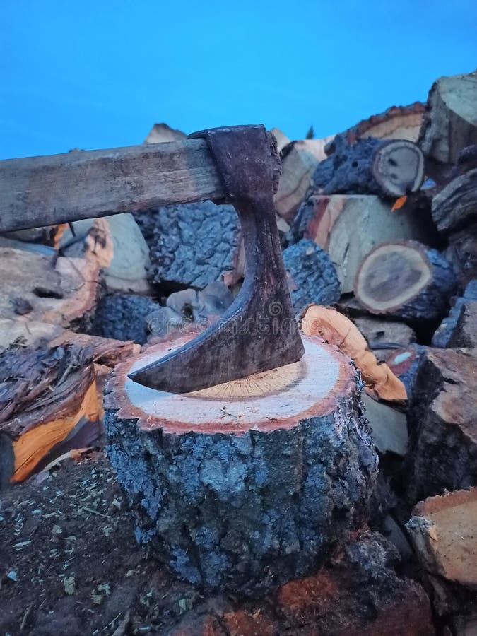 Vertical Shot of Cut Tree Trunks Laying on Each Other with a Sharp Ax ...