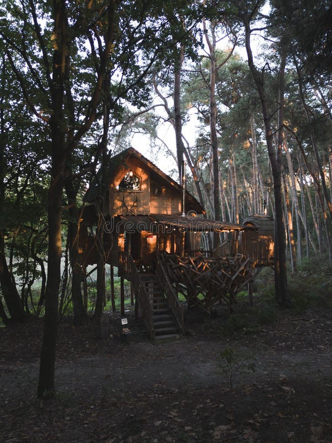 Vertical Shot of Cute Cozy Treehouse in the Forest Stock Image - Image ...