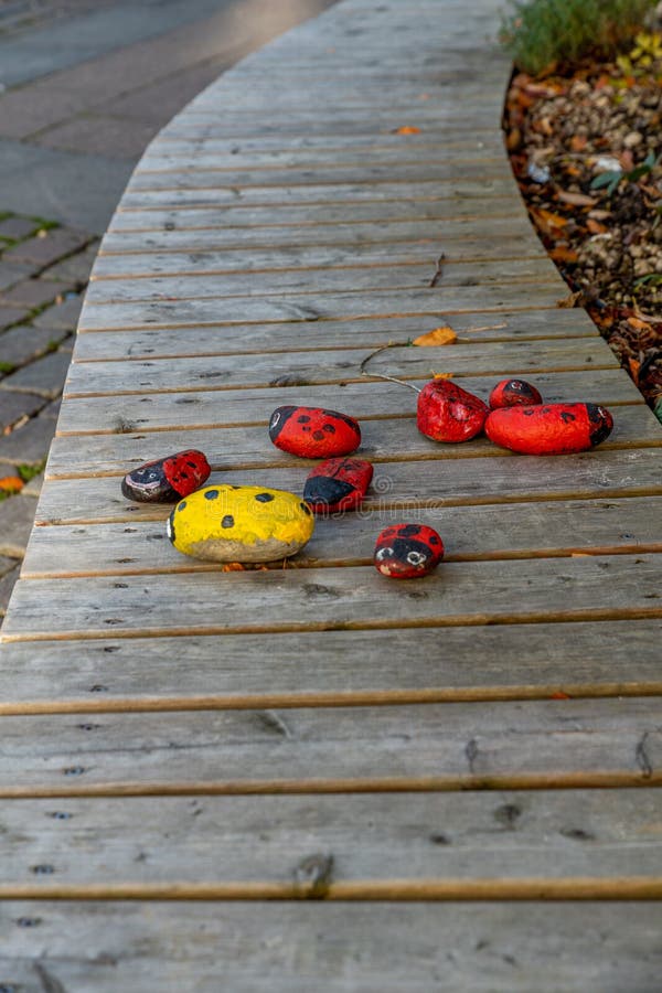 Vertical Shot of Cute Ladybug Painted Rocks on a Wooden Trail Stock ...