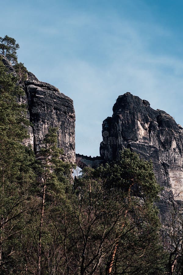 Vertical Shot of Dense Trees Over the Rocky Cliffs Under the Bright Sky ...