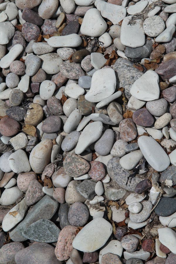 Vertical Shot of Different Rocks with Different Shapes and Sizes Stock ...