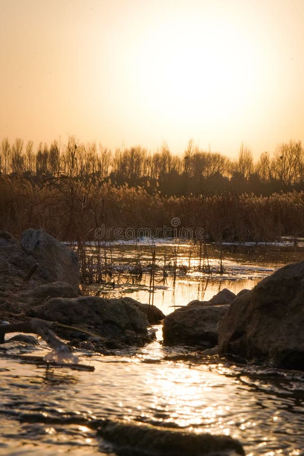 Vertical Shot of a Dirty Rock River on a Field at Sunset Stock Photo ...