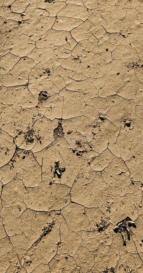 Vertical Shot of Drought on a Sunny Day Stock Photo - Image of natural ...