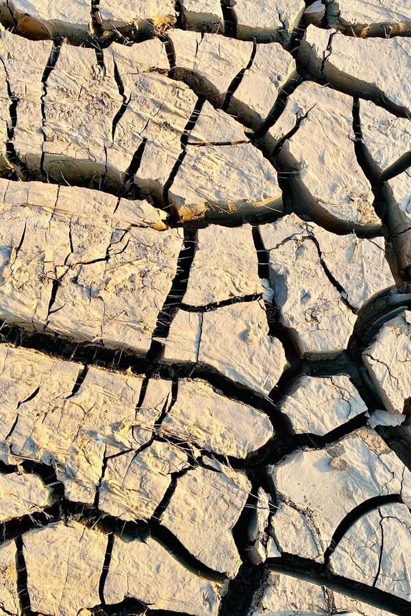 Vertical Shot of Dry Cracked Dirt Ground. Stock Image - Image of ...