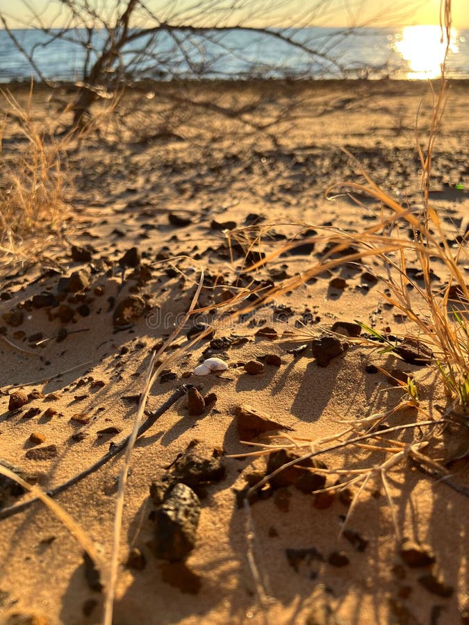 Vertical Shot of Dry Fallen Leaves by the Lake Stock Image - Image of ...