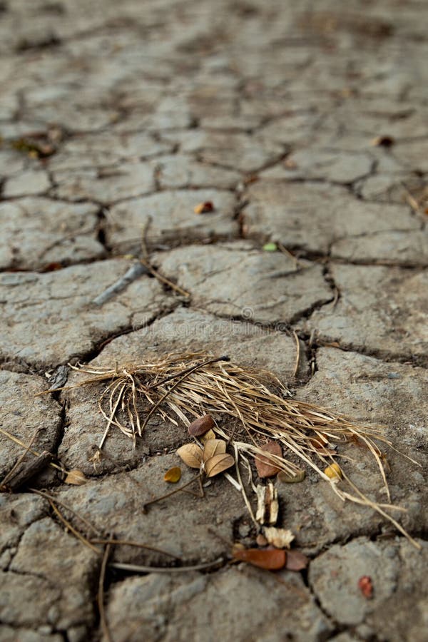 Vertical Shot of a Dry Land Stock Photo - Image of rainlessness ...