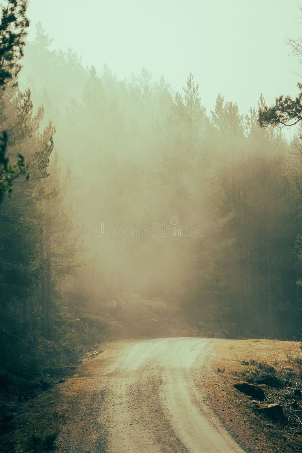 Vertical Shot of a Dusty Road Against the Trees Stock Image - Image of ...