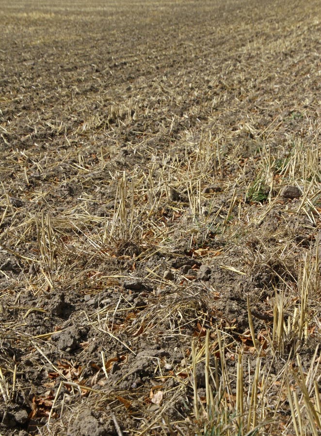 Empty Grass Field stock photo. Image of space, rural - 24508096