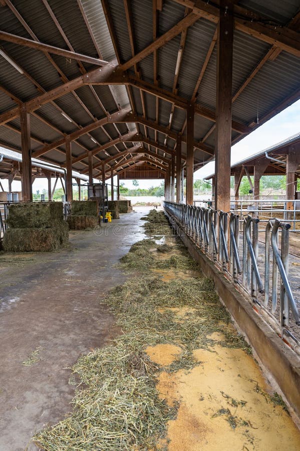 Vertical Shot of an Empty Farm with Boxes for Cows Stock Image - Image ...