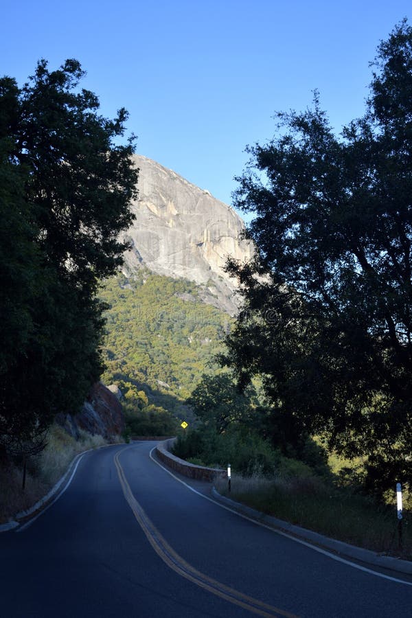 Vertical Shot of an Empty Road during Daytime Stock Image - Image of ...