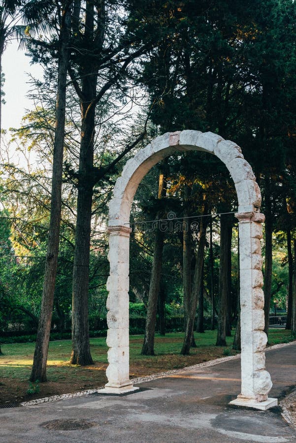 Vertical Shot of an Entrance Arch in a Park with Tall Trees Background ...