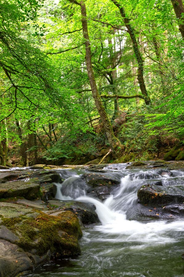 Vertical Shot of the Erme River in South Devon, England Stock Photo ...
