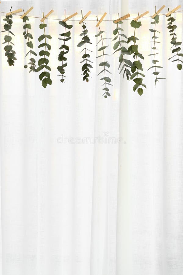Vertical Shot of Eucalyptus String Leaves in Front of White Draping ...