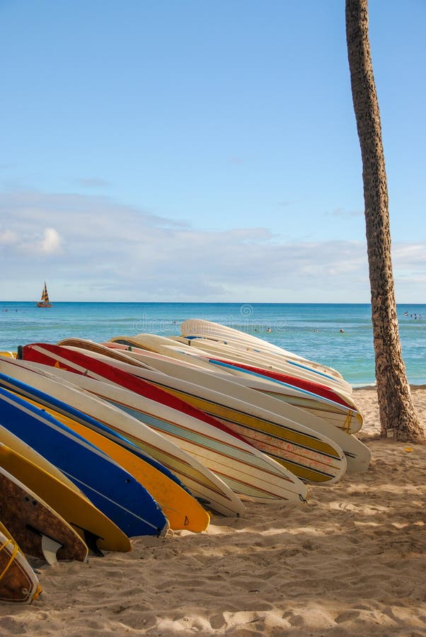 Everal Surfboards Stock Illustrations – 1 Everal Surfboards Stock ...