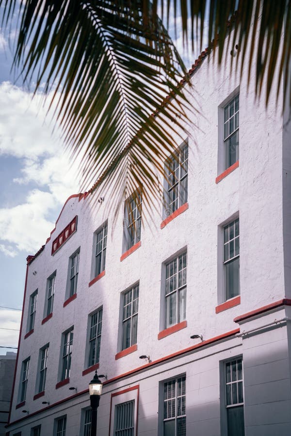 Vertical Shot of the Exterior of a White Building and Palm Tree Leaves ...