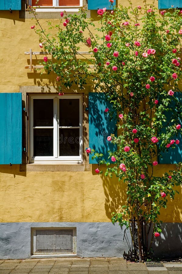 Vertical Shot of a Facade of a Colorful House with Flowers Stock Photo ...