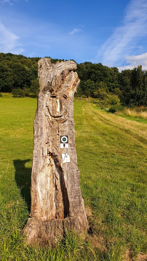 Vertical Shot of Face Carved on Tree Stump in a Forest Stock Image ...