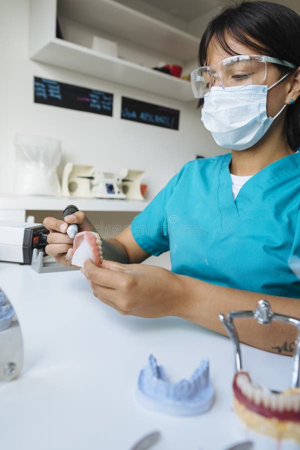 Vertical Shot of a Female Doctor Working on a Denture Stock Image ...