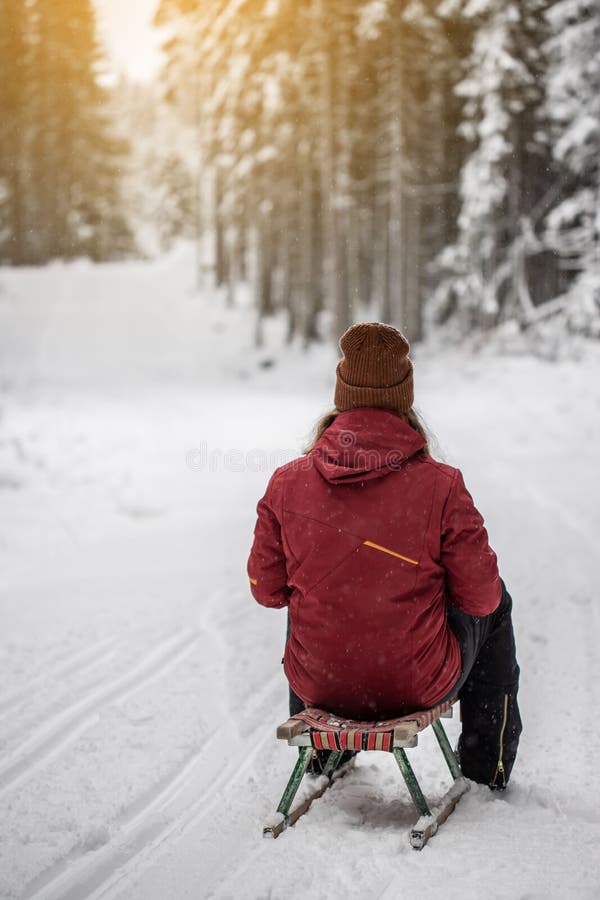 Vertical Shot of a Female Riding a Sladge in the Snowy Forest Stock ...