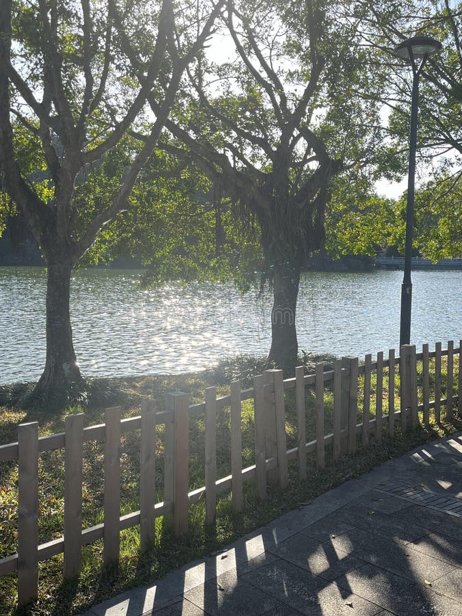Fenced pathway stock photo. Image of fenced, scenic, broken - 49068764