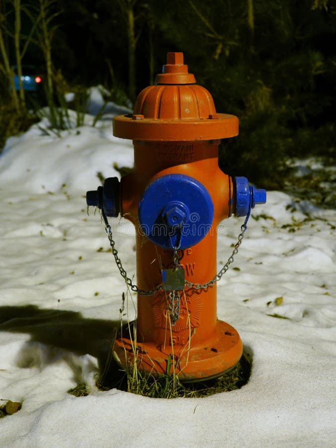 Vertical Shot of a Fire Hydrant in the Beautiful Forest Stock Photo ...