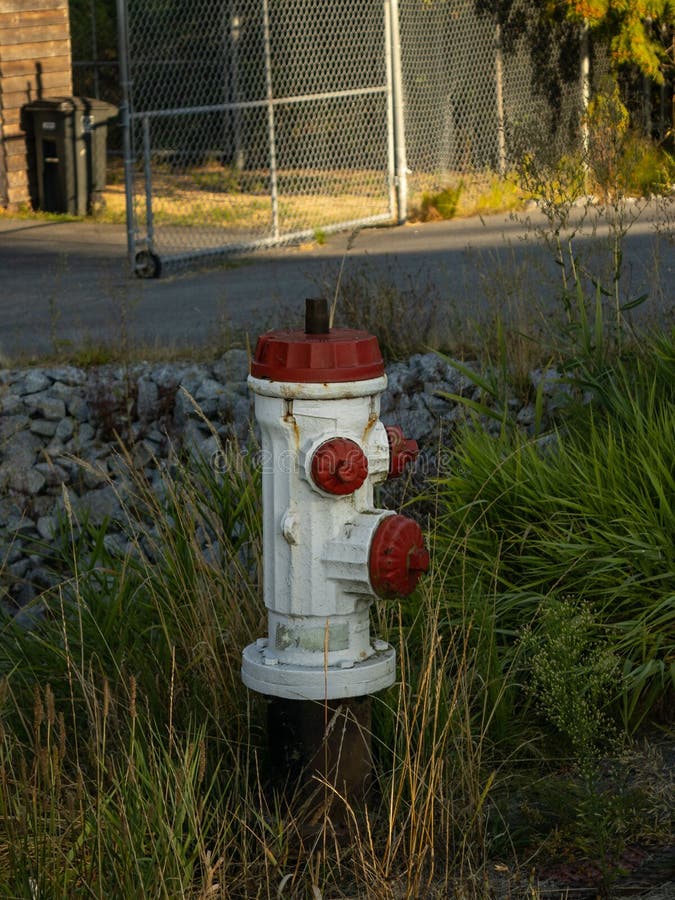 Vertical Shot of a Fire Hydrant in the Green Area Stock Image - Image ...