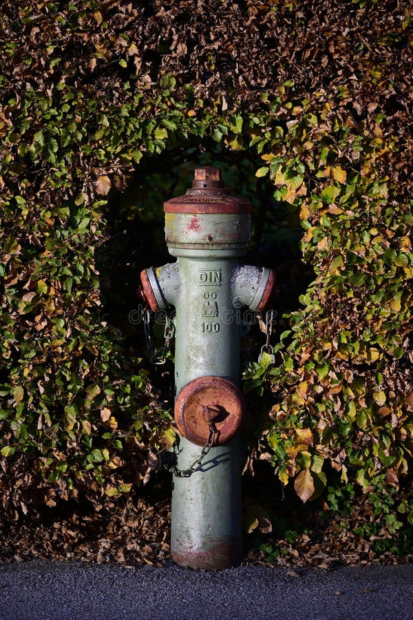 Vertical Shot of a Fire Hydrant in the Street Stock Photo - Image of ...