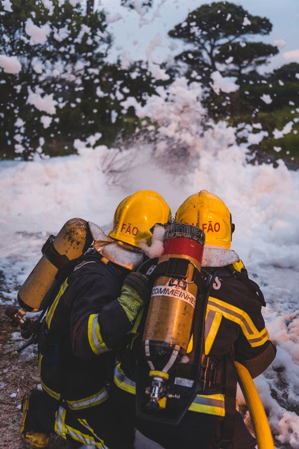 Vertical Shot of Firefighters with Oxygen Cylinder in the Forest ...