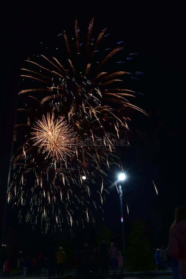 Vertical Shot of Fireworks in the Night Sky Stock Photo - Image of year ...