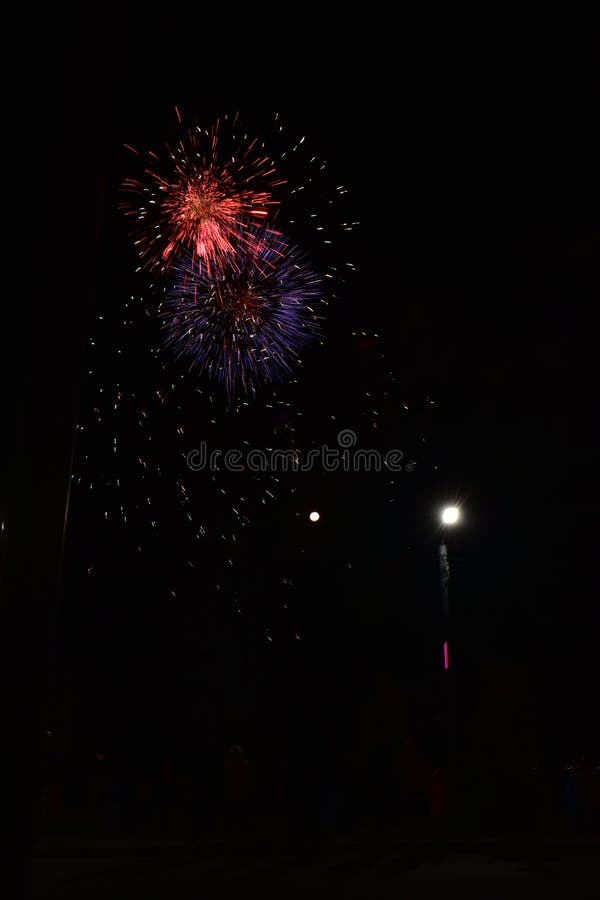 Vertical Shot of Fireworks in the Night Sky Stock Image - Image of ...
