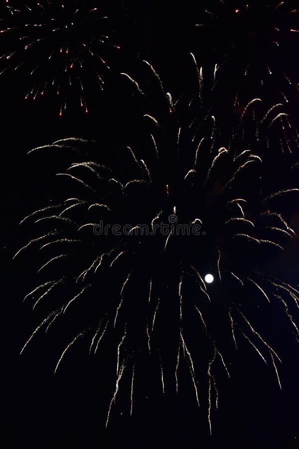 Vertical Shot of Fireworks in the Night Sky Stock Image - Image of ...