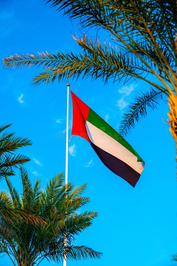 Vertical Shot of the Flag of the United Arab Emirates Surrounded by ...