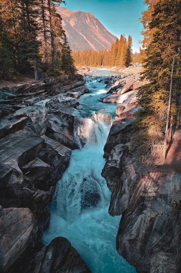 Vertical Shot of a Flowing Splashing Rocky Stream in Banff, Canada ...
