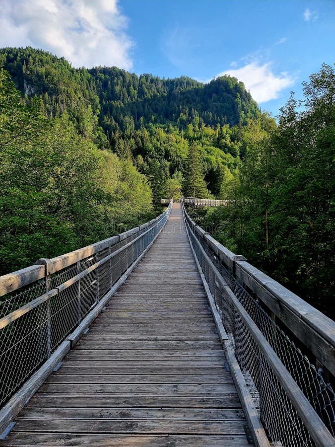 Vertical Shot of the Footpath Bridge in the Forest Stock Photo - Image ...